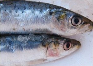 High Calcium Foods : 10 Important Foods to Maintain Our Health