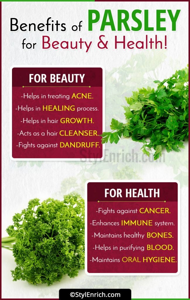 Benefits Of Parsley For Your Overall Beauty And Health!