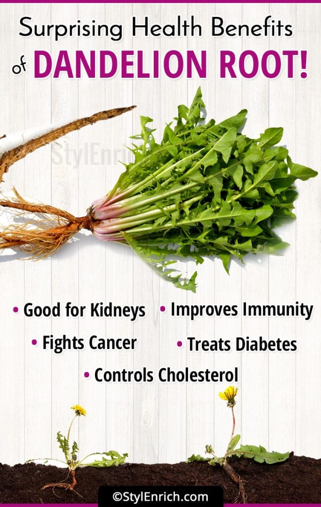 Dandelion Benefits That Will Give You Relief From Various Health Issues!
