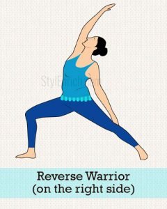 Hatha Yoga Poses For Beginners And Its Innumerable Benefits!